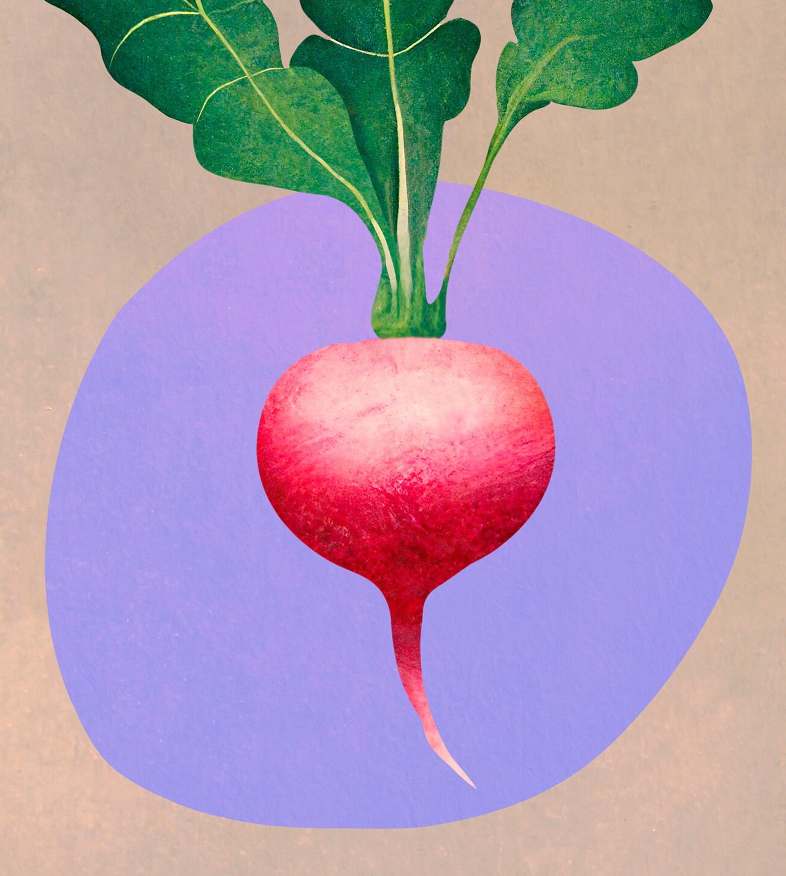 Radish Vegetable Print, Printable Bauhaus-inspired Botanical Art ...