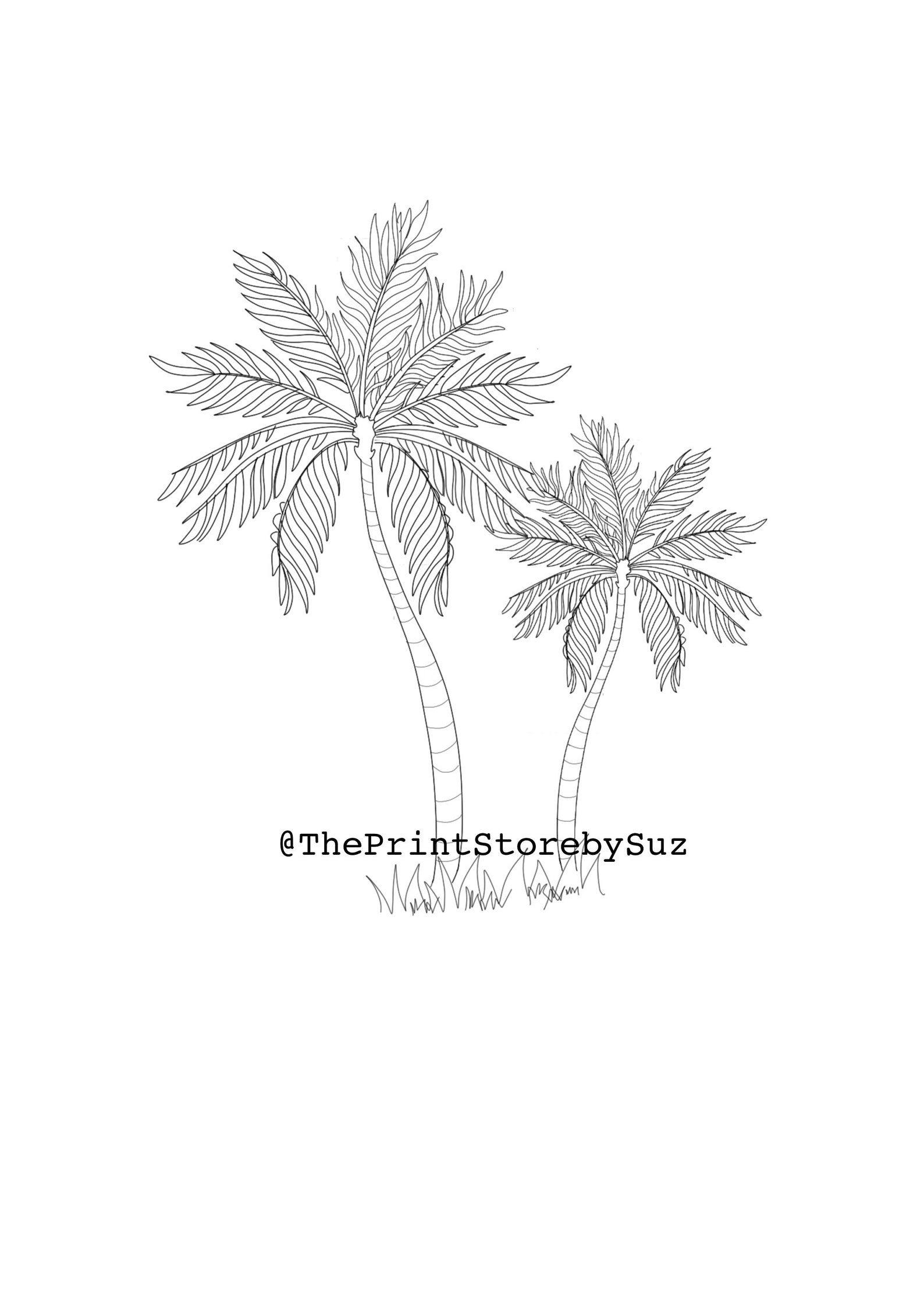 Palm Tree, Fine Line Art, Palm Tree PNG, Digital Download - Etsy