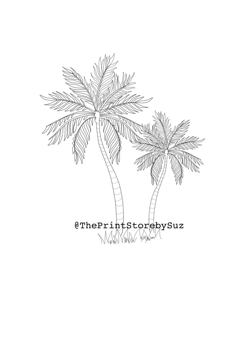 Palm Tree, Fine Line Art, Palm Tree PNG, Digital Download - Etsy