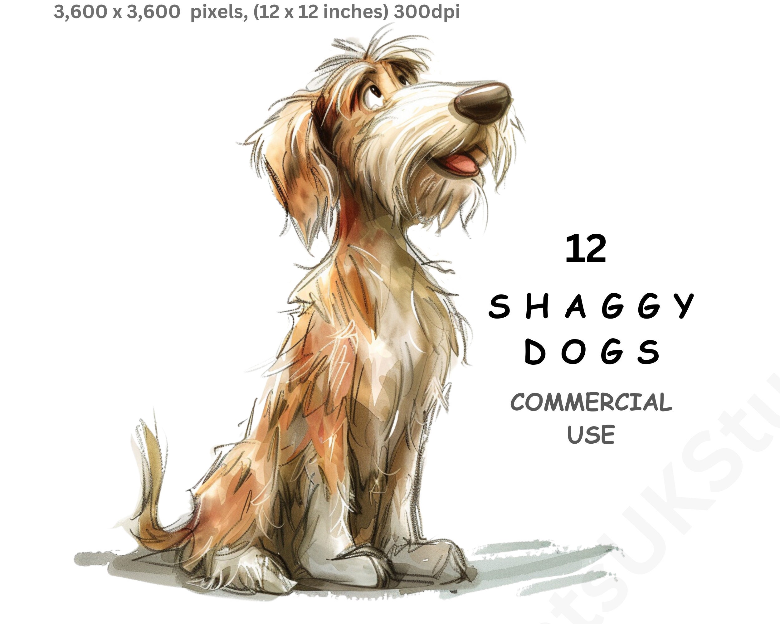 Clipart Shaggy Dogs, 12 PNG Watercolour Images of Cartoon Hounds ...