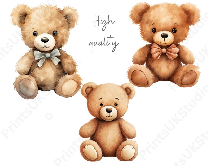 Teddy Bear Clipart, 12 Watercolour Teddy Bear Images, Digital PNG With ...