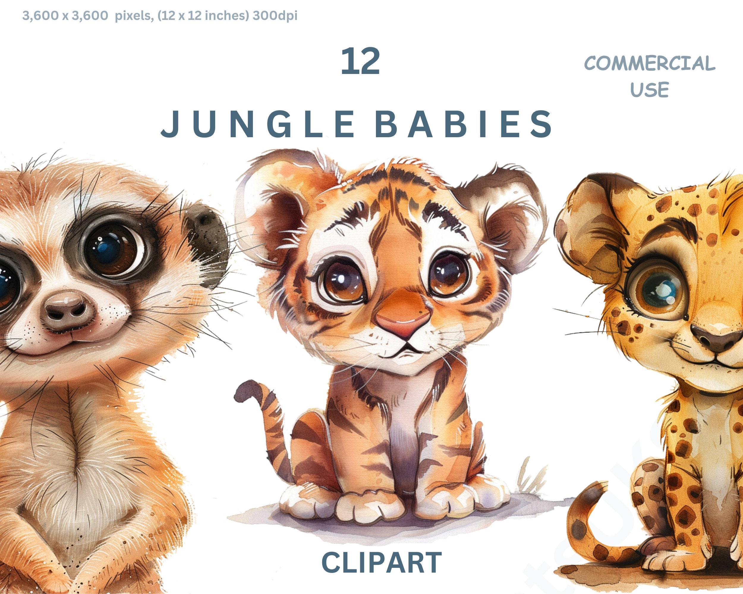 Jungle Babies Clipart, 12 Baby Safari Animal Cubs, High Quality ...