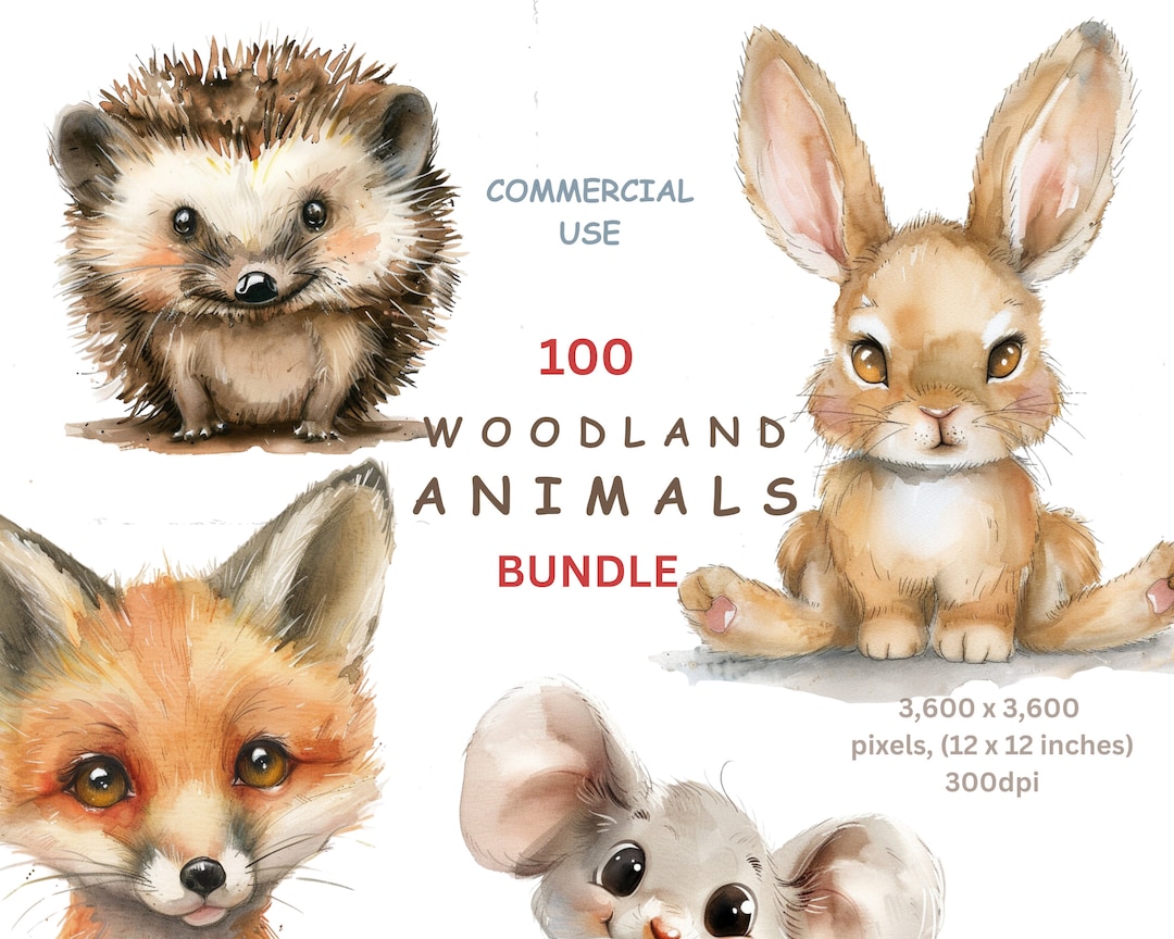 Woodland Animal Clipart Baby Critter Images PNG Transparent Background ...