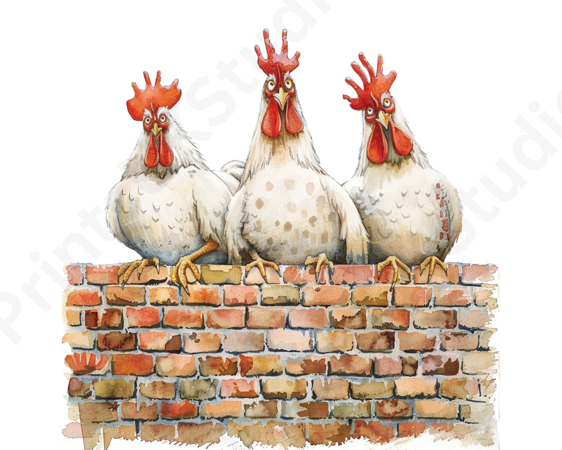 Clipart Cockerels, 12 Watercolour Images of Cartoon Cockerel Farmyard ...