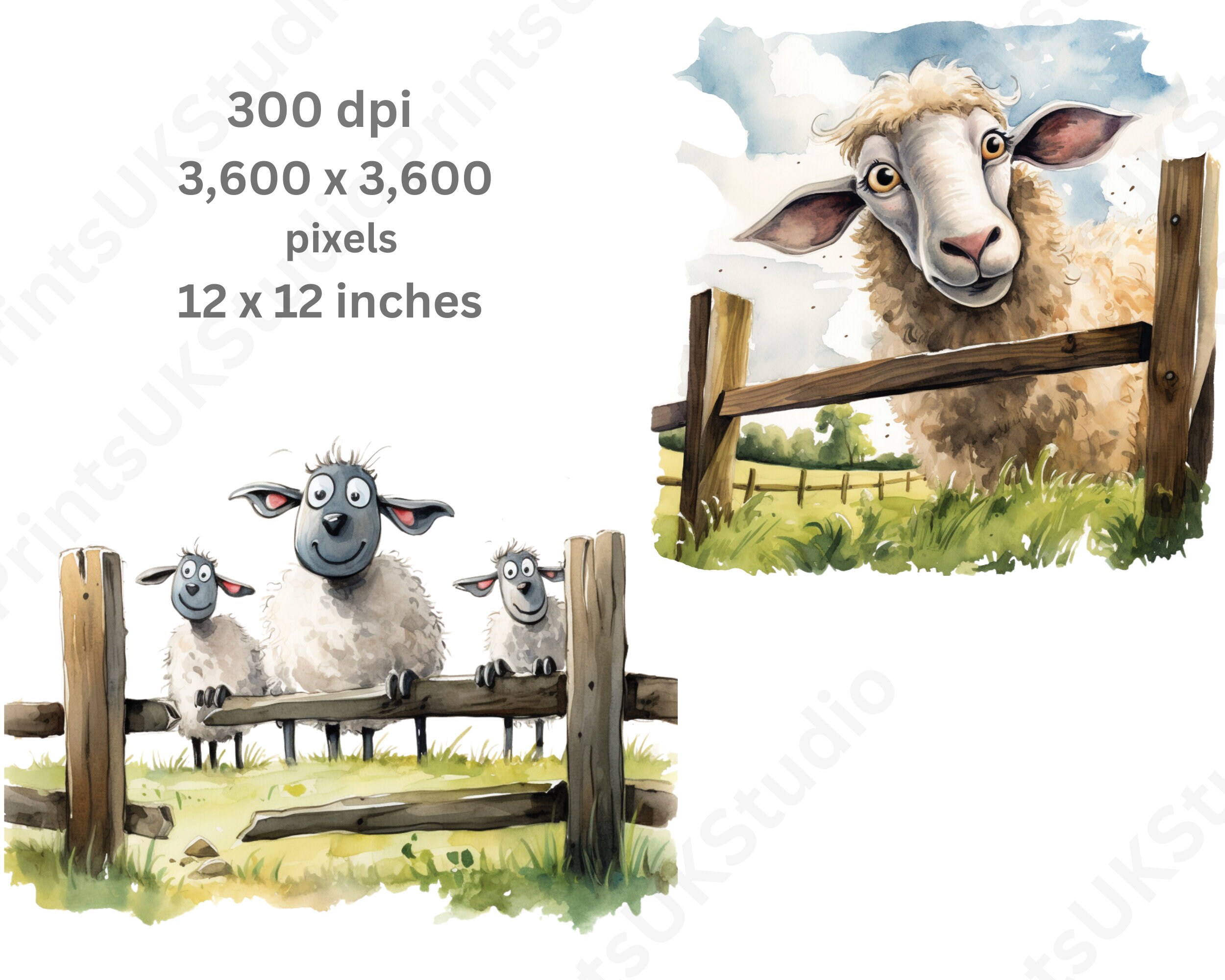 Clipart Sheep, 12 Watercolour Images of Cartoon Sheep and Spring Lambs ...