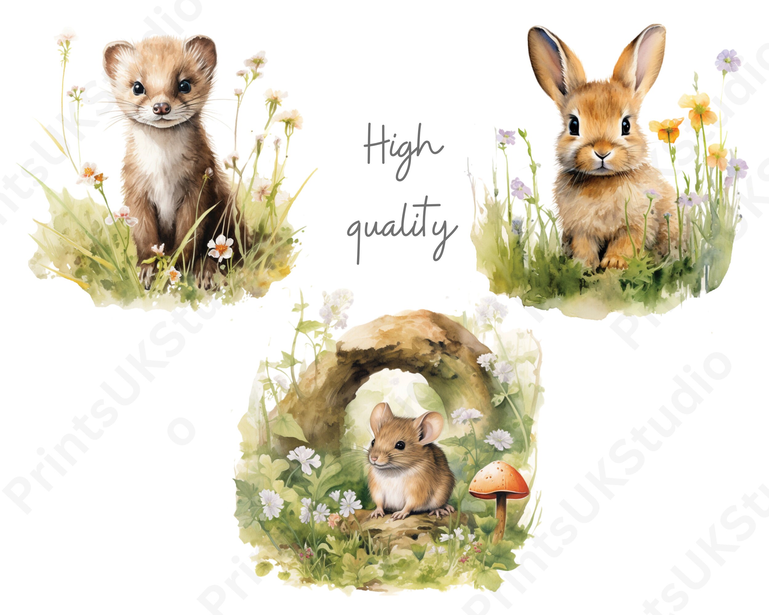 Woodland Animals Clipart, 12 PNG Transparent Background Watercolour ...