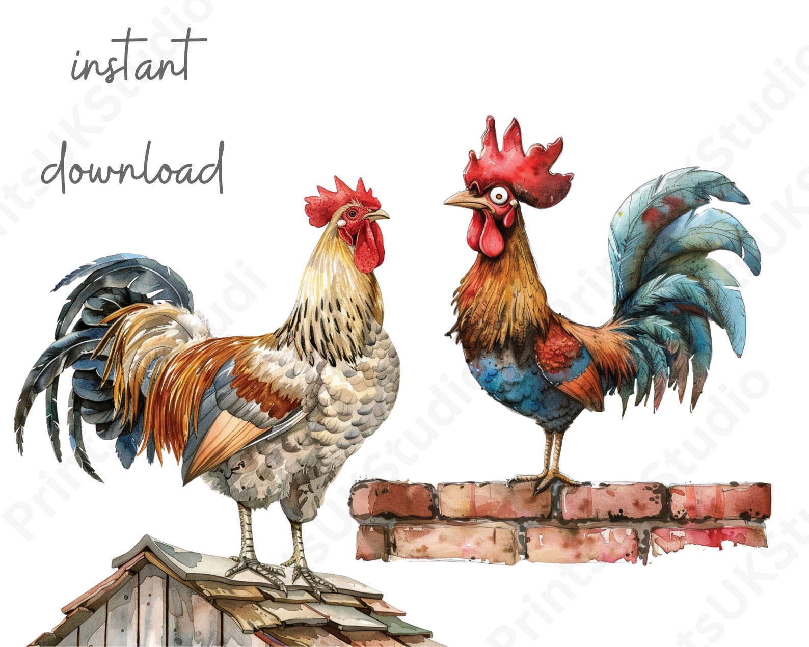Clipart Cockerels, 12 Watercolour Images of Cartoon Cockerel Farmyard ...