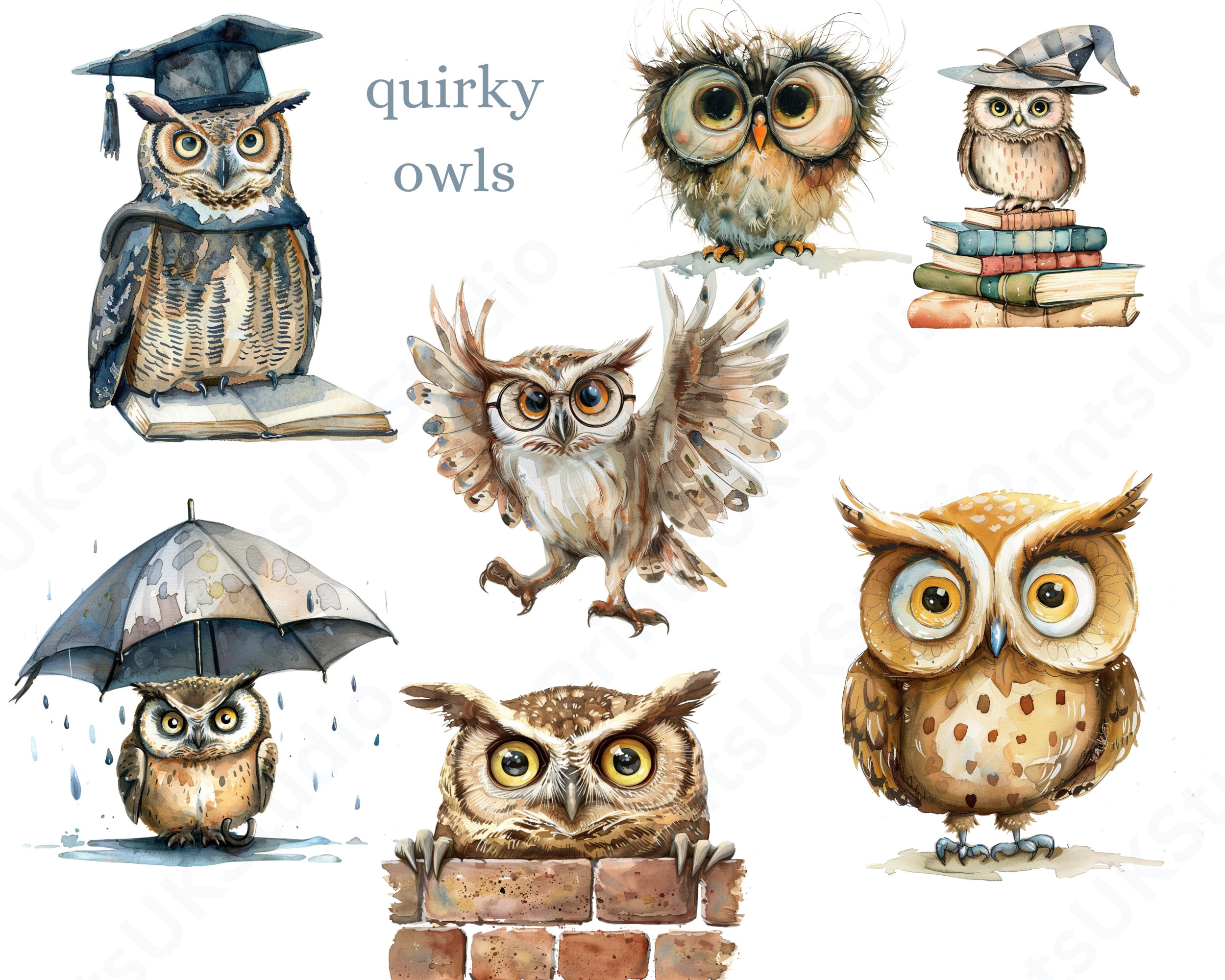 Quirky Owl Clipart Cartoon Owl Images Clipart Bird Images, Woodland ...