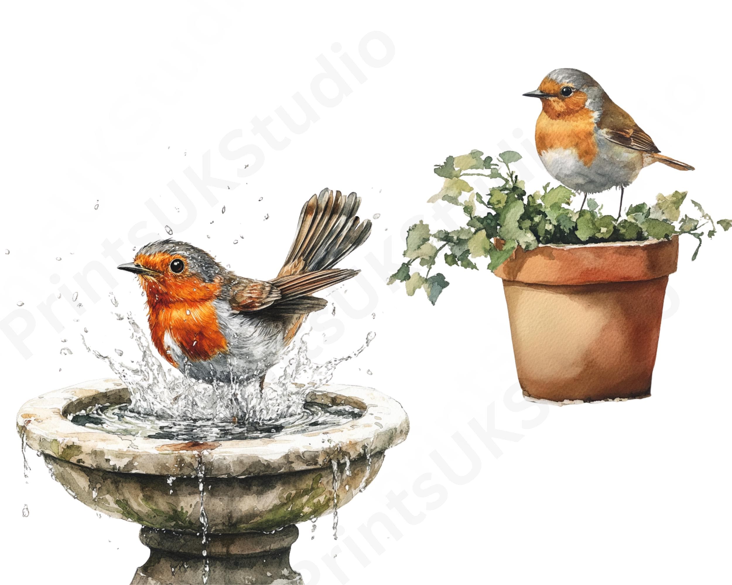 Robin Clipart, 14 Watercolour Images of Cartoon Quirky Robins, Garden ...
