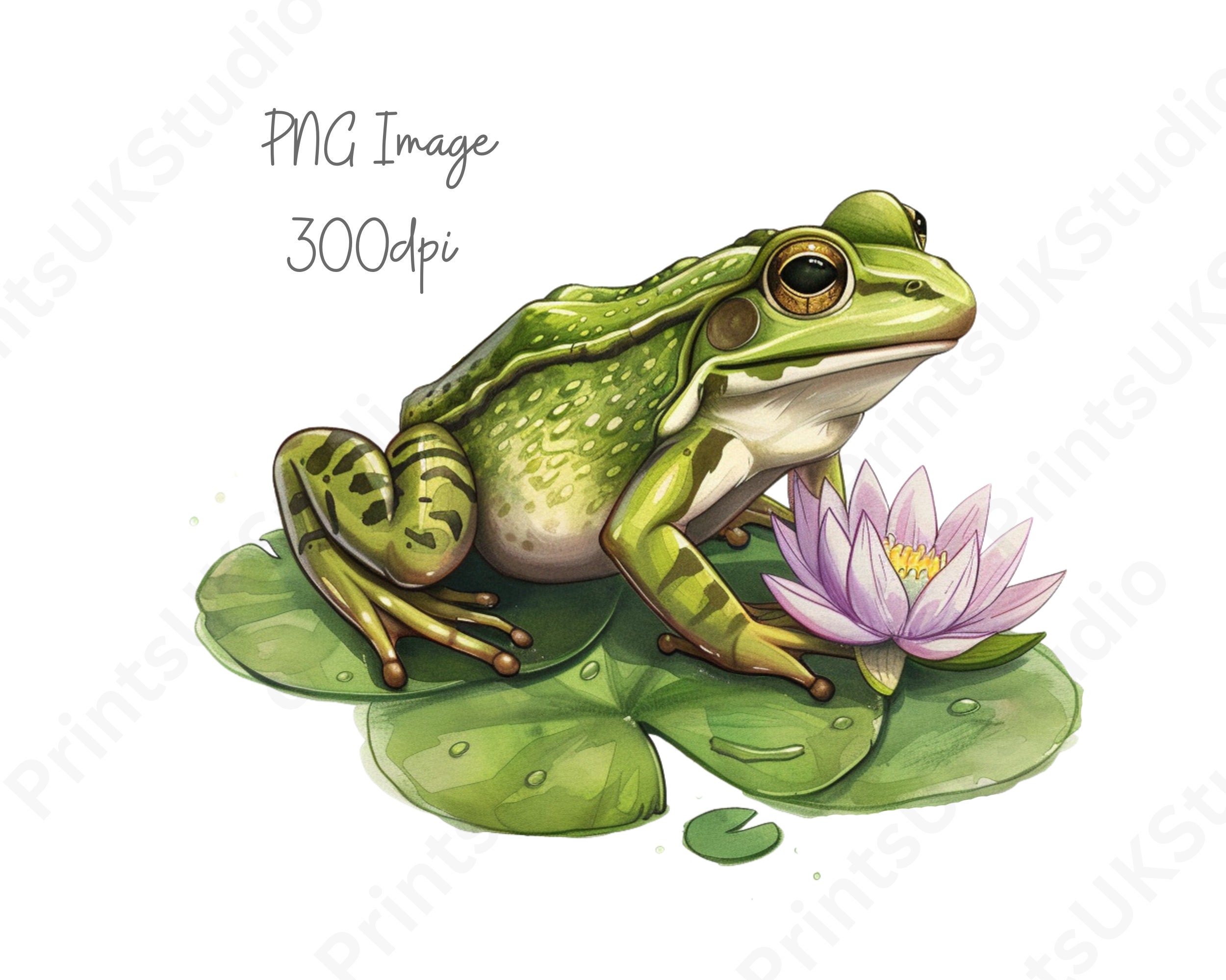 Clipart Frogs, 12 PNG Watercolour Images of Cartoon Green Frogs ...
