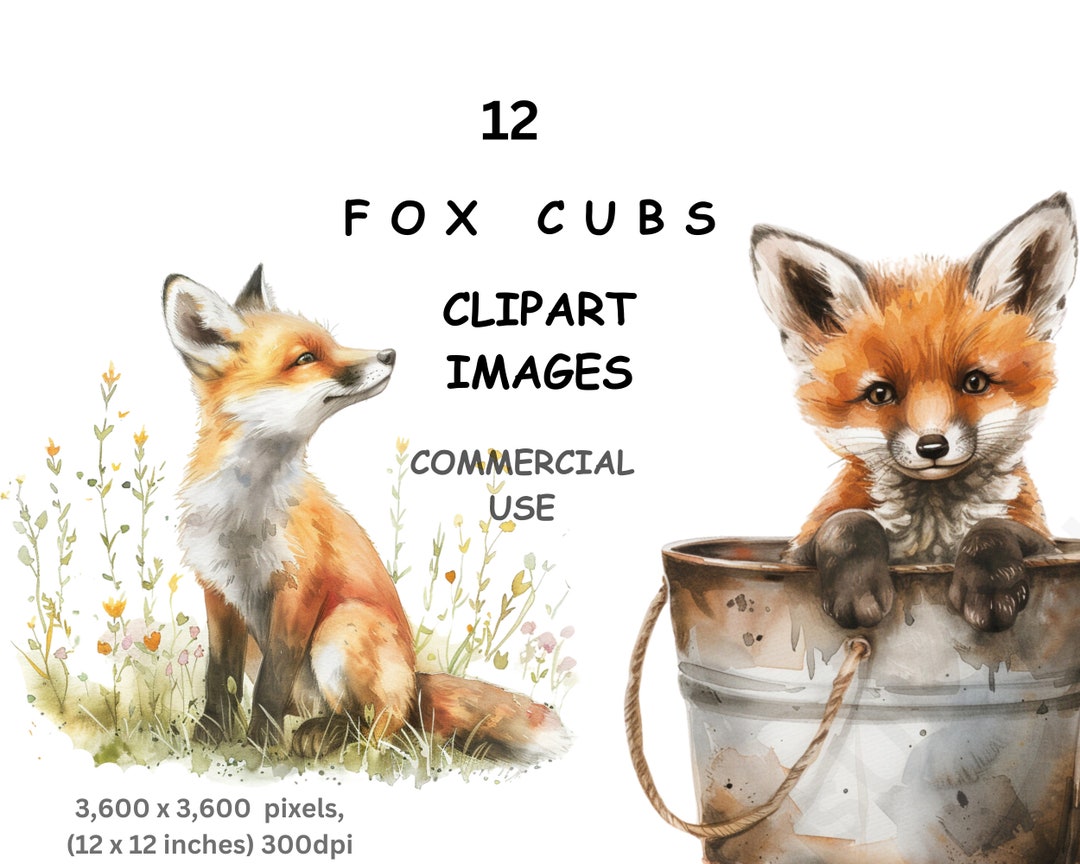 Clipart Fox Cubs, 12 PNG Watercolour Images of Cartoon Fox Cubs ...