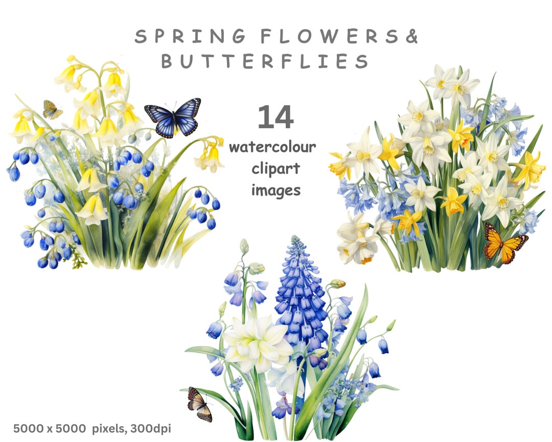 Spring Flowers and Butterflies Clipart, 14 High Quality Transparent ...