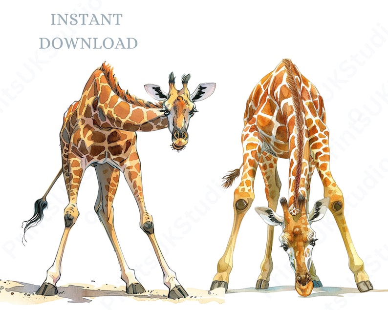 Quirky Giraffe Clipart, 12 Cartoon Giraffe Images Whimsical Giraffes ...