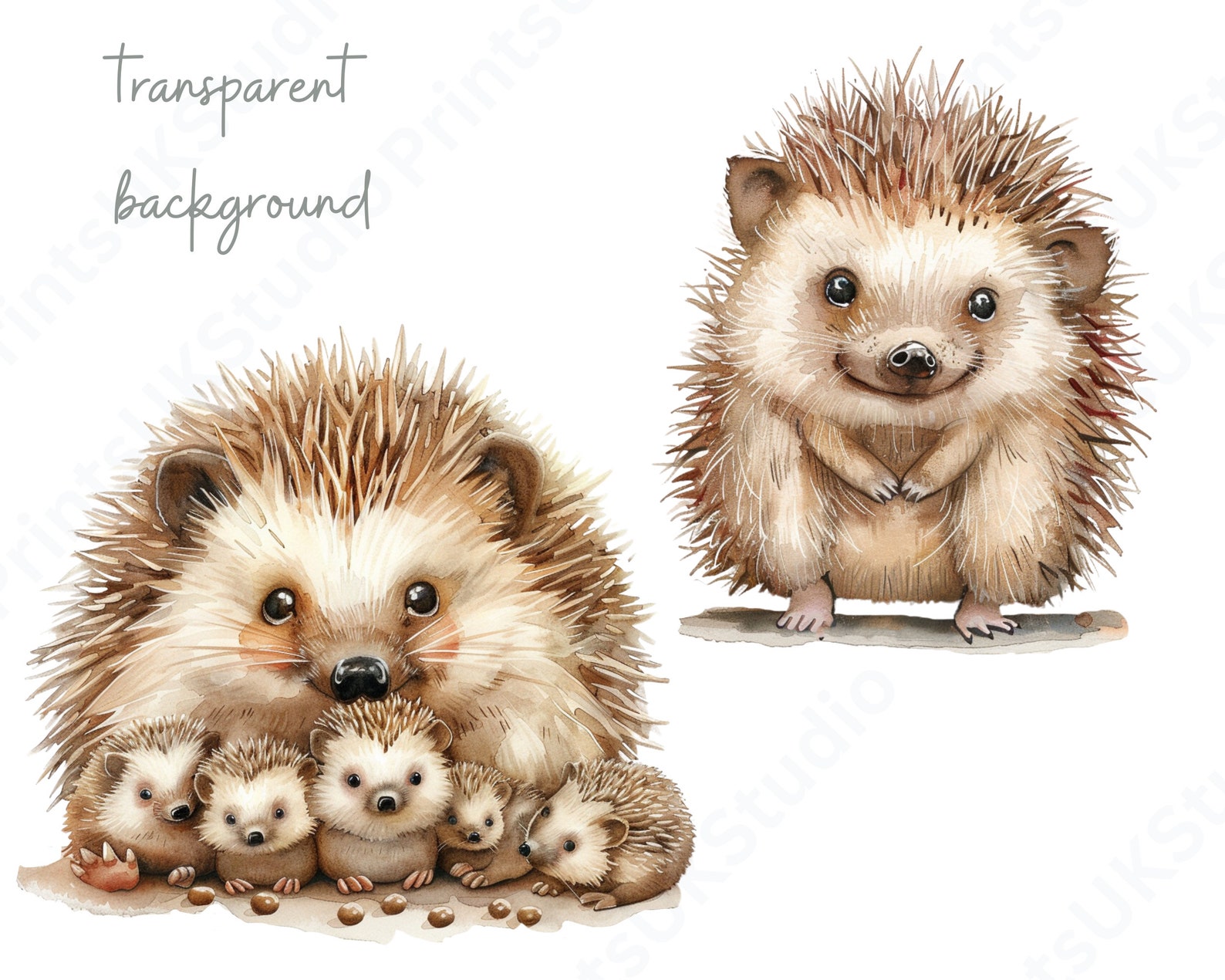 Hedgehog Clipart, 12 Watercolour Hedgehog Clipart Images, Woodland ...