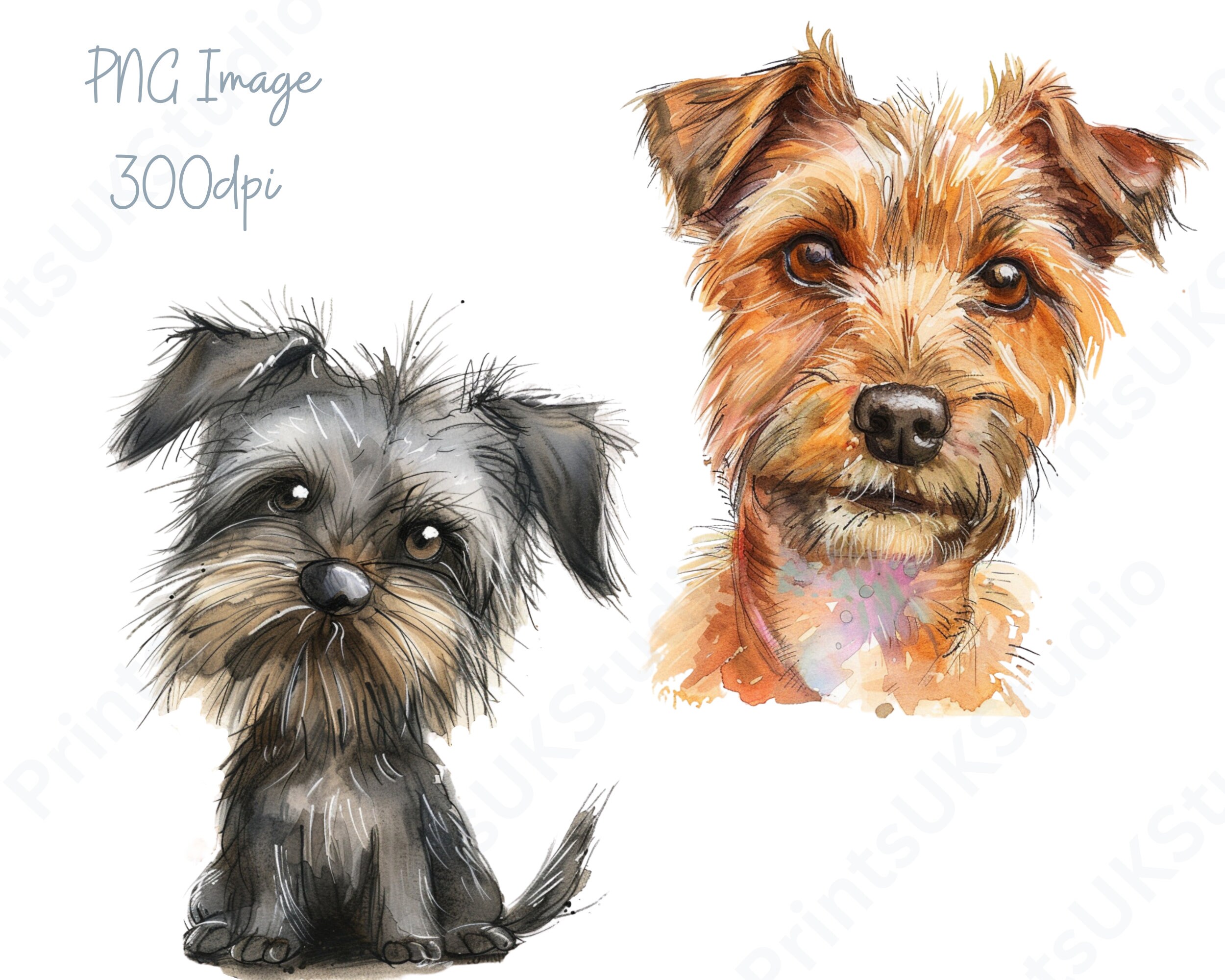 Clipart Terrier Dogs, 14 PNG Watercolour Images of Terrier Doggies ...