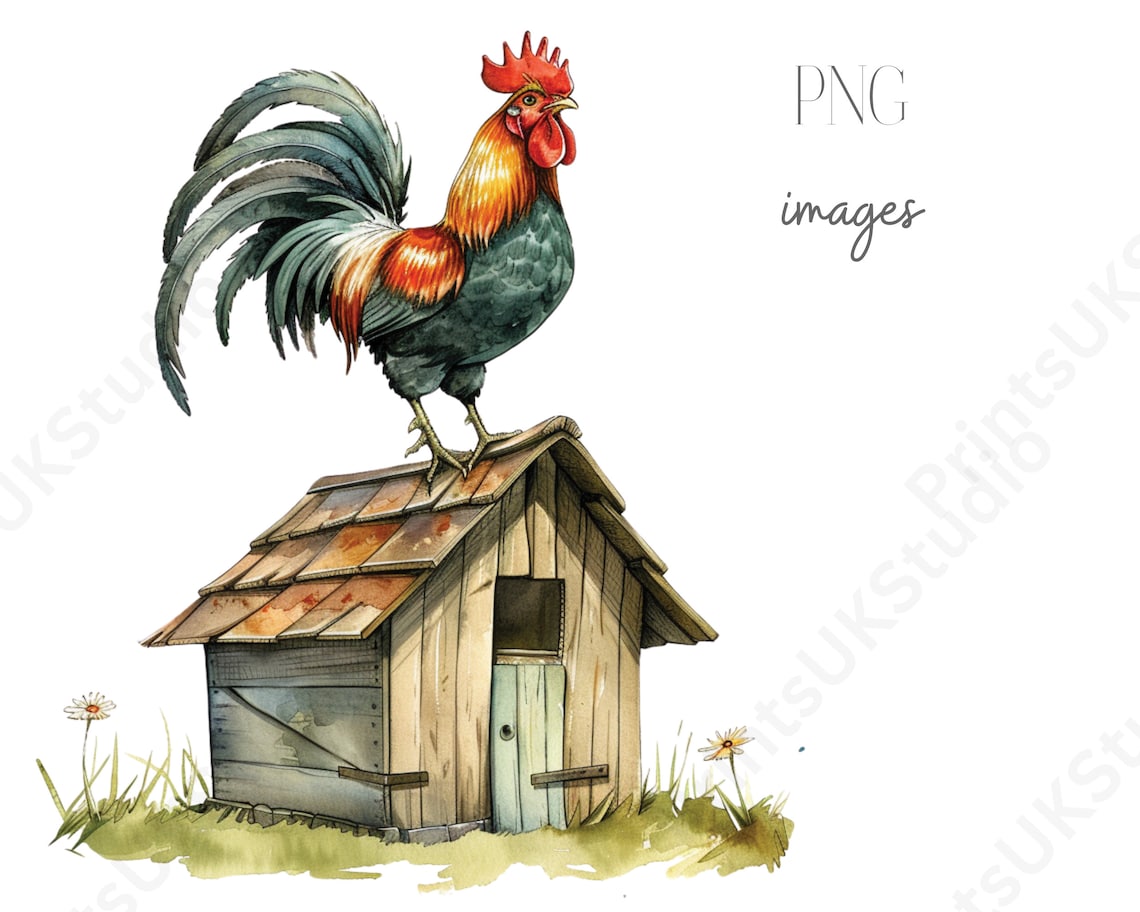 Clipart Cockerels, 12 Watercolour Images of Cartoon Cockerel Farmyard ...