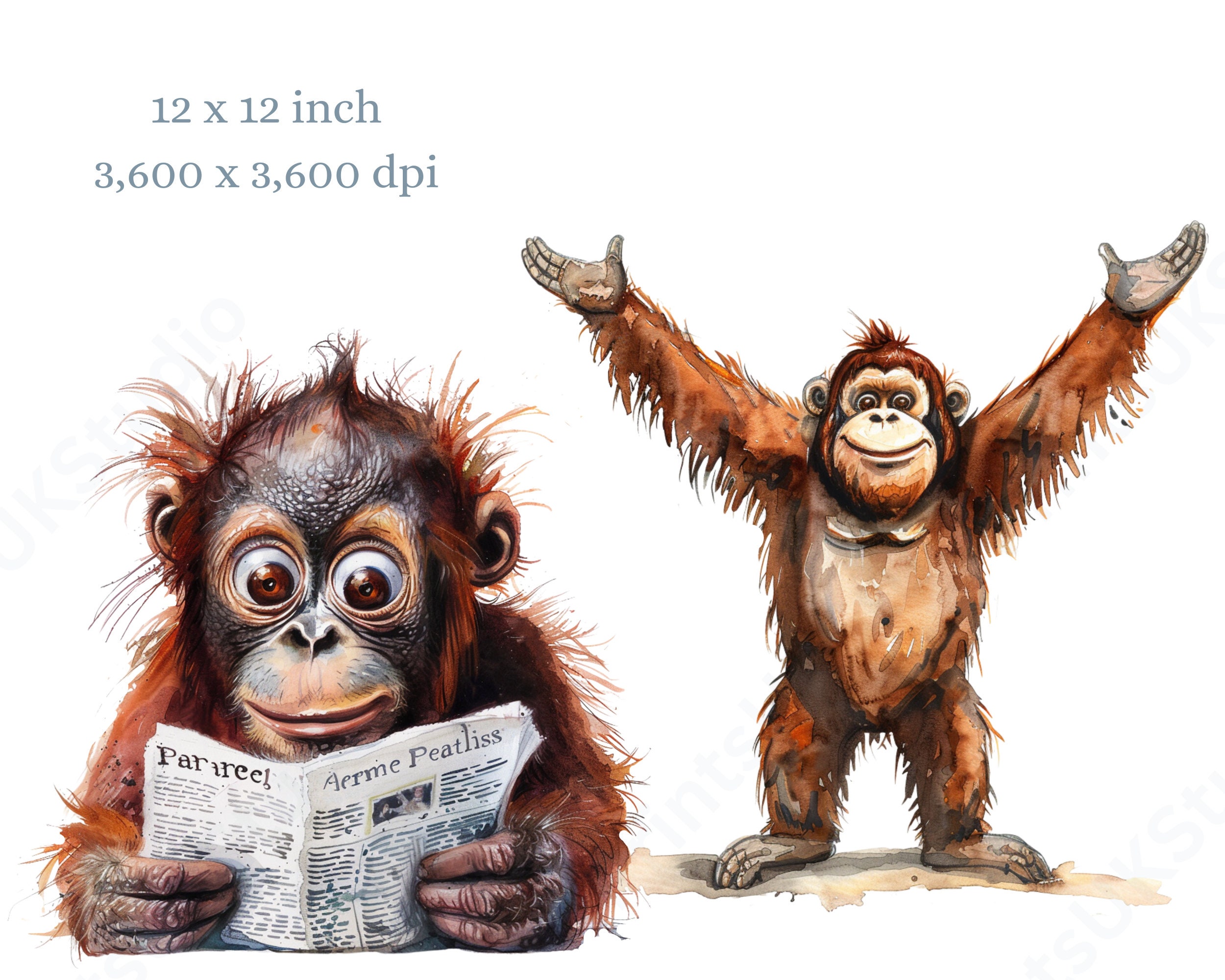 Orangutan Clipart, 12 Jungle Orangutan Apes, High Quality Transparent ...