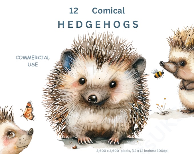 Cute Summer Hedgehogs Clipart Bundle, Watercolor Hedgehog Clip Art ...