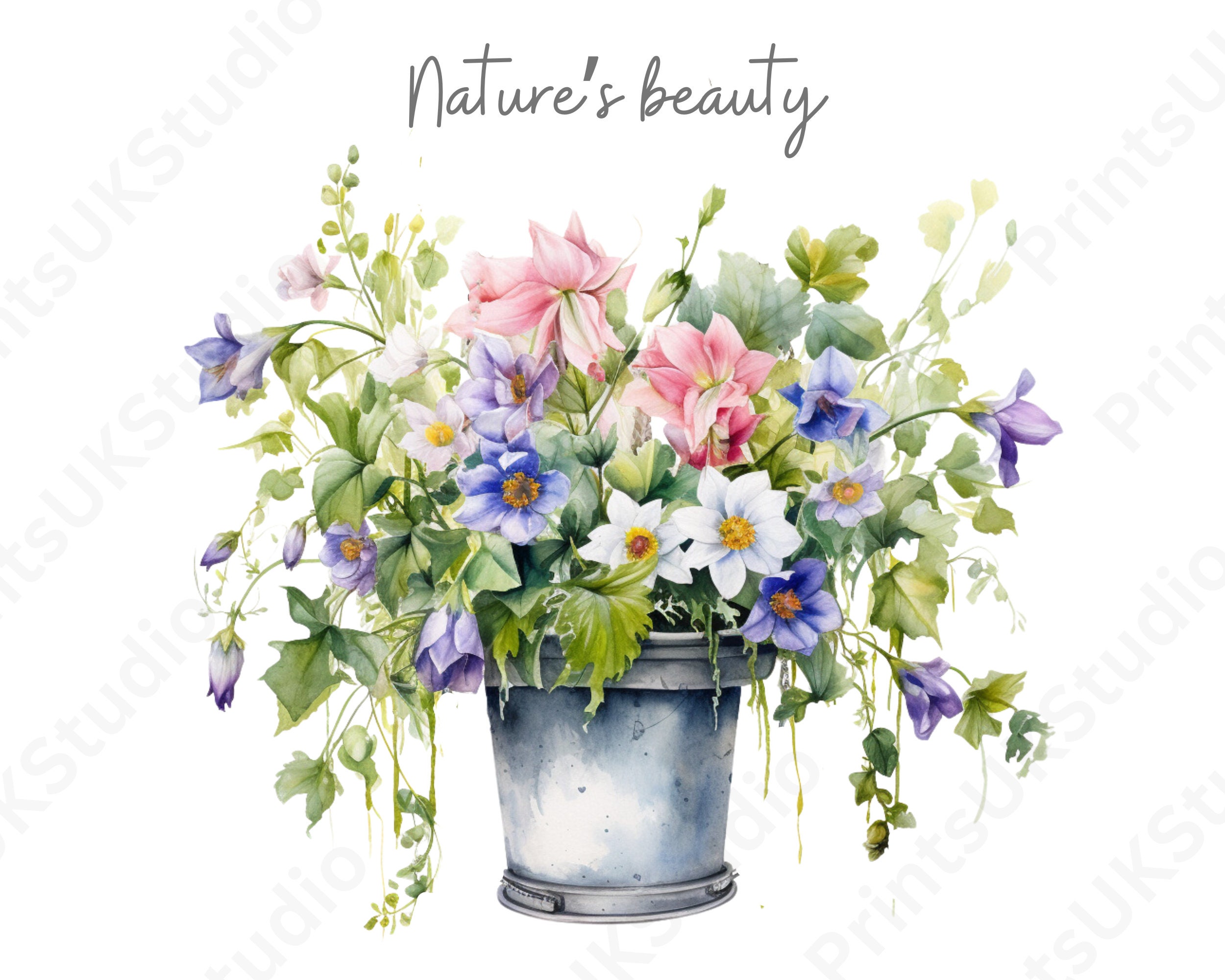 Spring Flower Baskets, 16 Clipart High Quality Transparent Background ...
