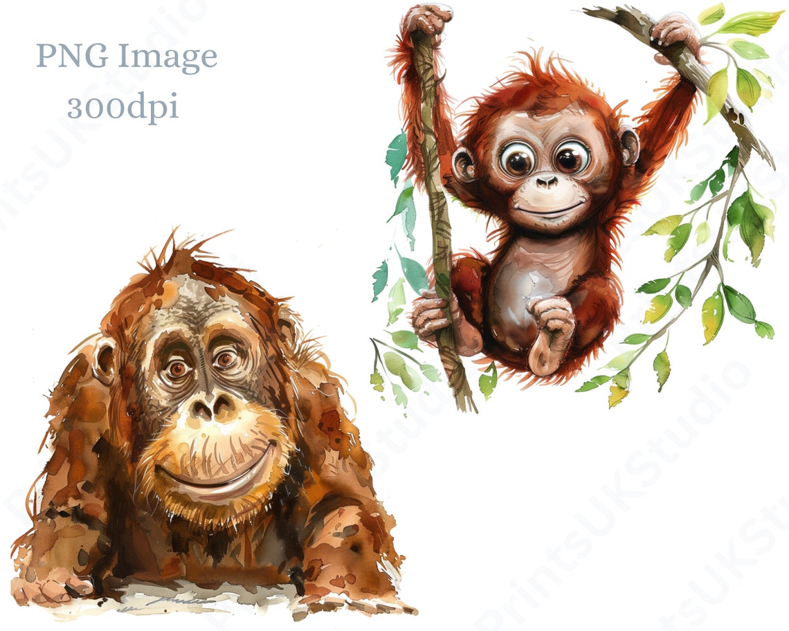 Orangutan Clipart, 12 Jungle Orangutan Apes, High Quality Transparent ...
