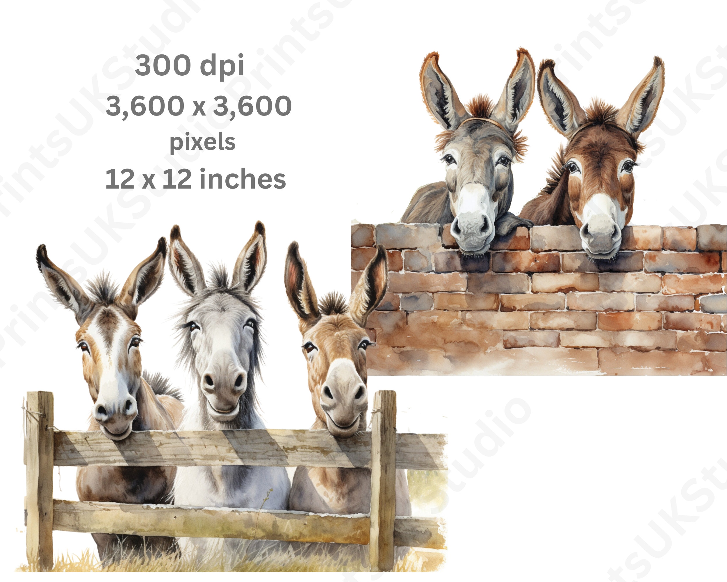 Donkey Clipart, 12 Watercolour Images of Cartoon Donkeys, Digital PNG ...
