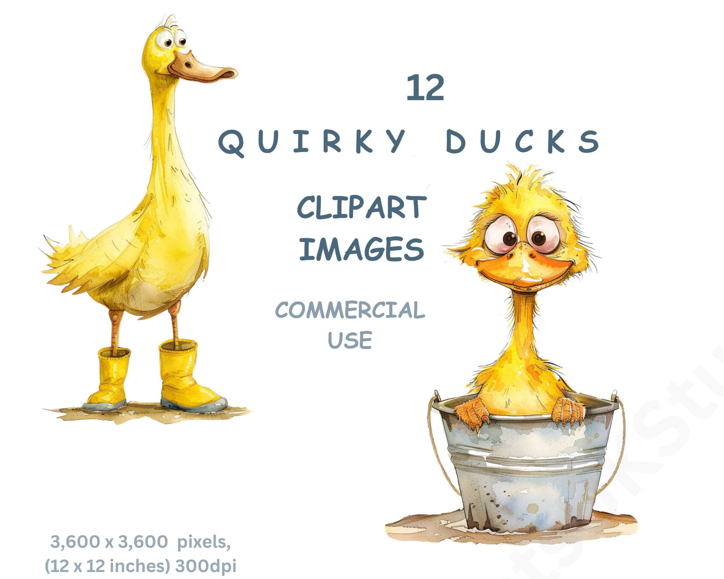 Quirky Ducks Clipart, 12 PNG Watercolour Images of Whimsical Yellow Ducks, Funny Animal Graphics ...