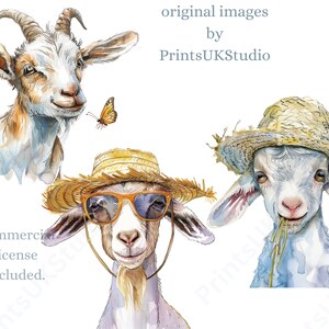 Quirky Goat Clipart, 12 Watercolour Images of Cartoon Goats, Farmyard ...