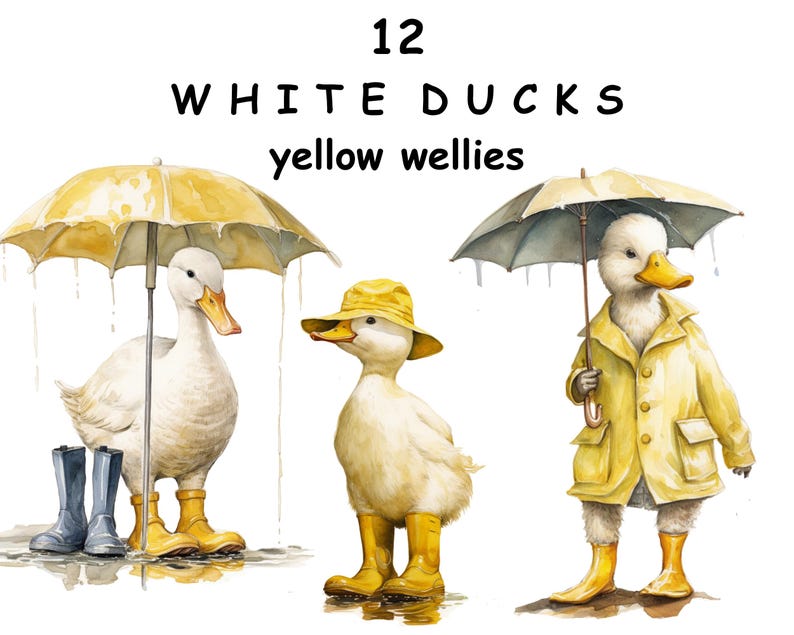 White Duck Clipart, 12 High Quality PNG Transparent Background Images ...