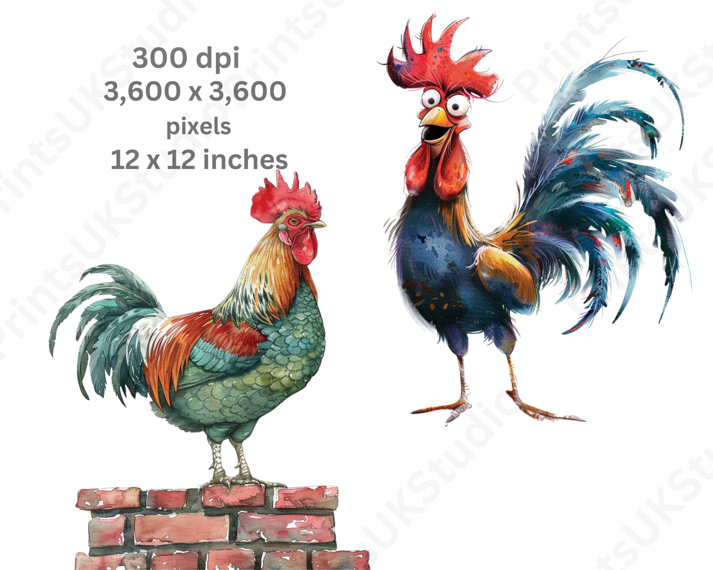 Clipart Cockerels, 12 Watercolour Images of Cartoon Cockerel Farmyard ...
