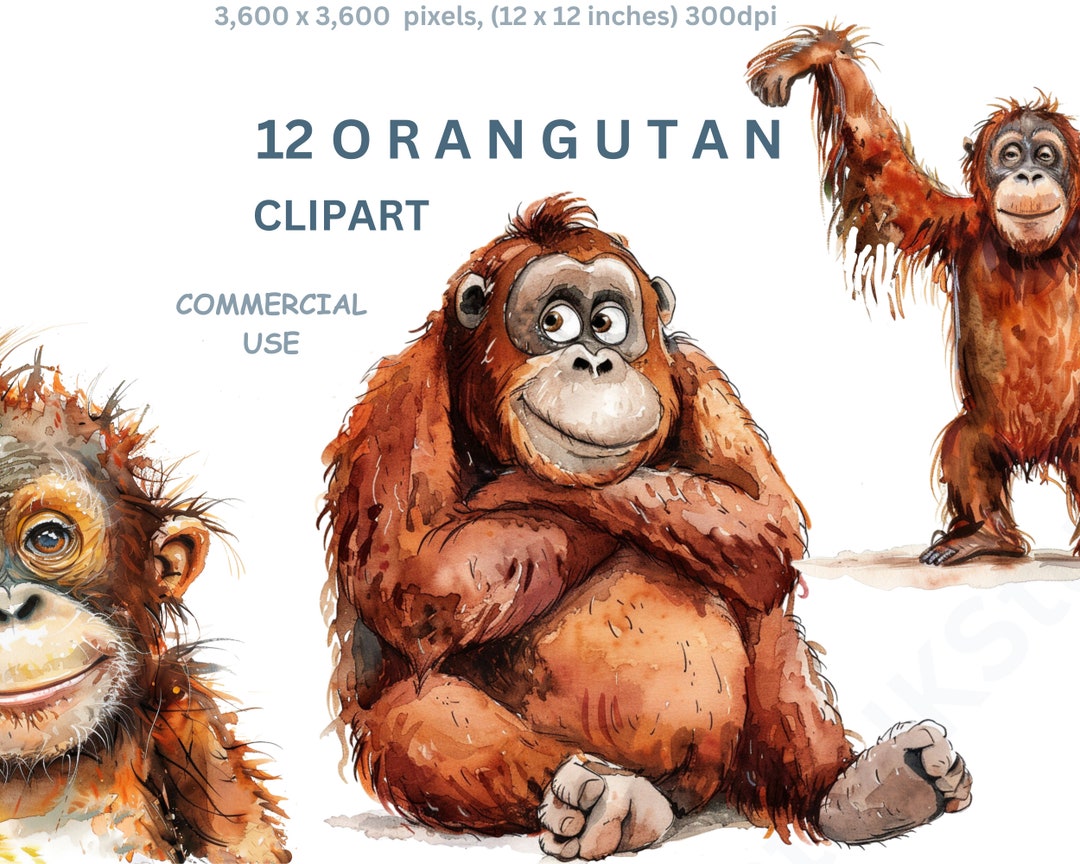 Orangutan Clipart, 12 Jungle Orangutan Apes, High Quality Transparent ...