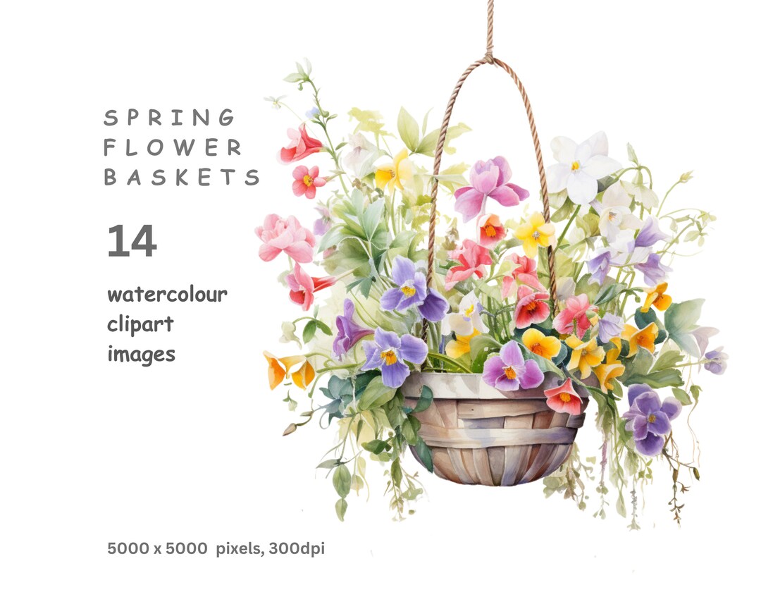 Spring Flower Baskets, 16 Clipart High Quality Transparent Background ...