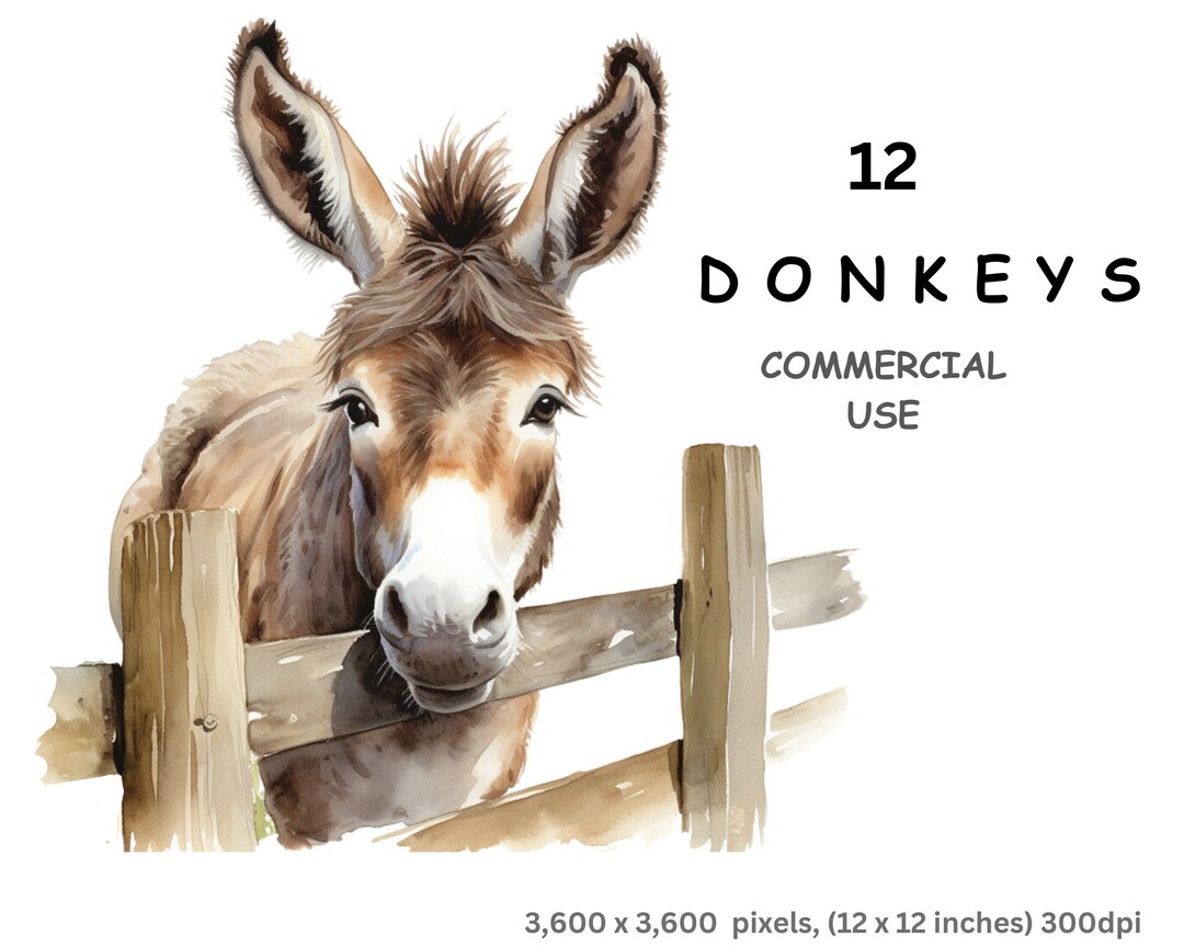 Donkey Clipart, 12 Watercolour Images of Cartoon Donkeys, Digital PNG ...