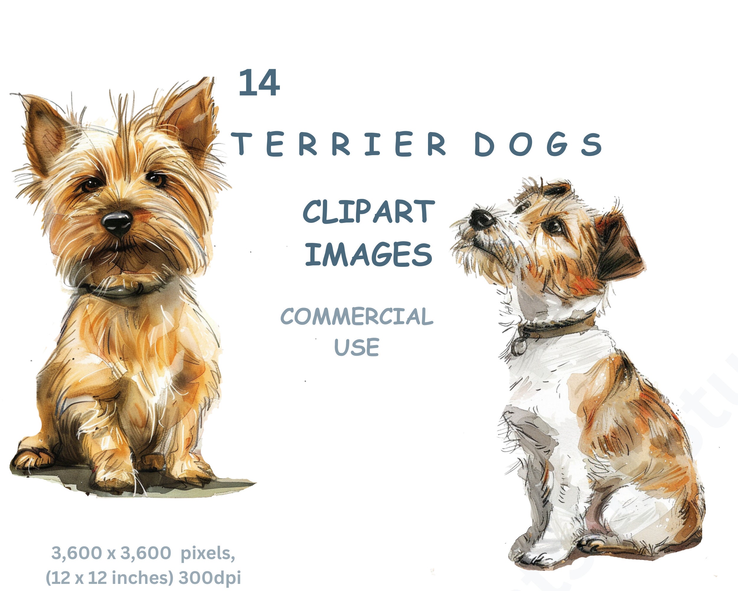 Clipart Terrier Dogs, 14 PNG Watercolour Images of Terrier Doggies ...