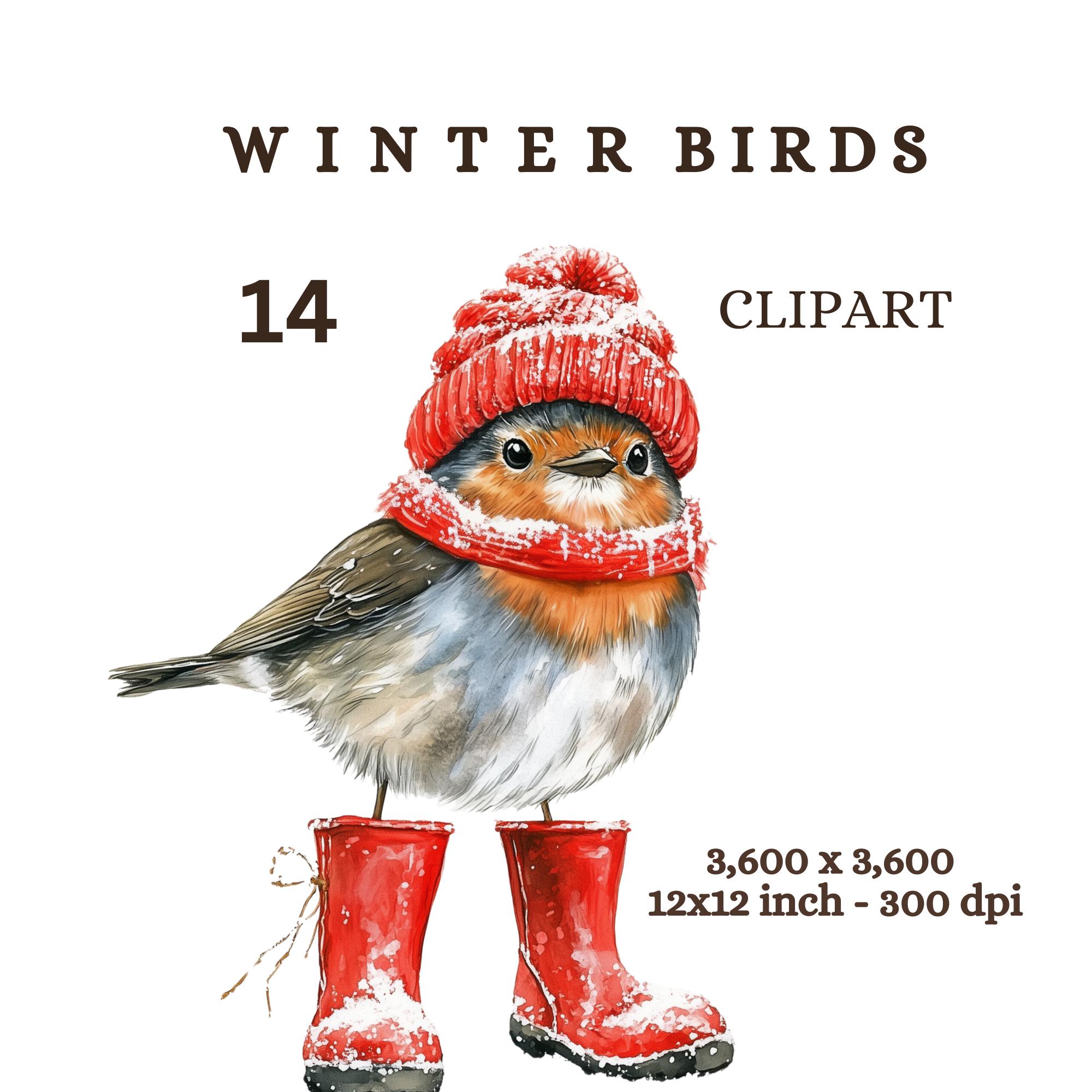Clipart, British Garden Birds, Christmas Robin PNG Images, Transparent ...