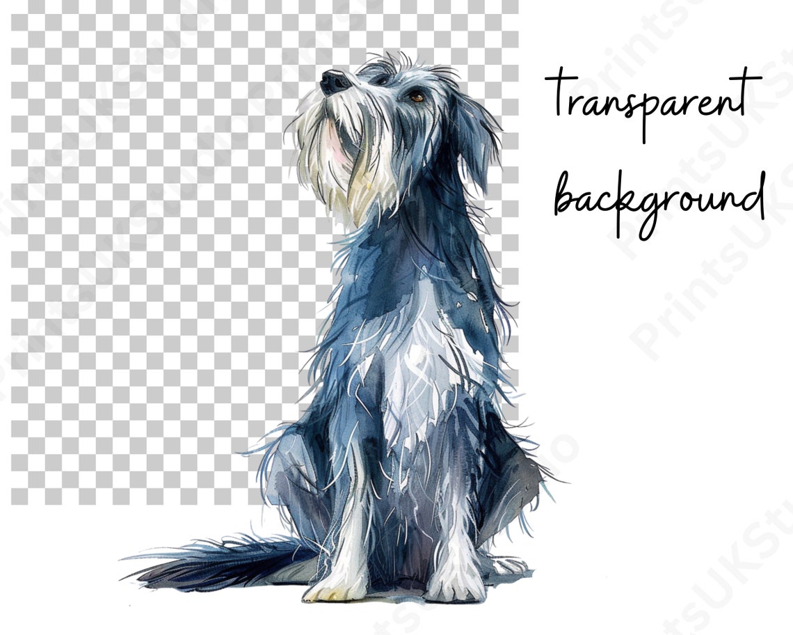 Clipart Shaggy Dogs, 12 PNG Watercolour Images of Cartoon Hounds ...