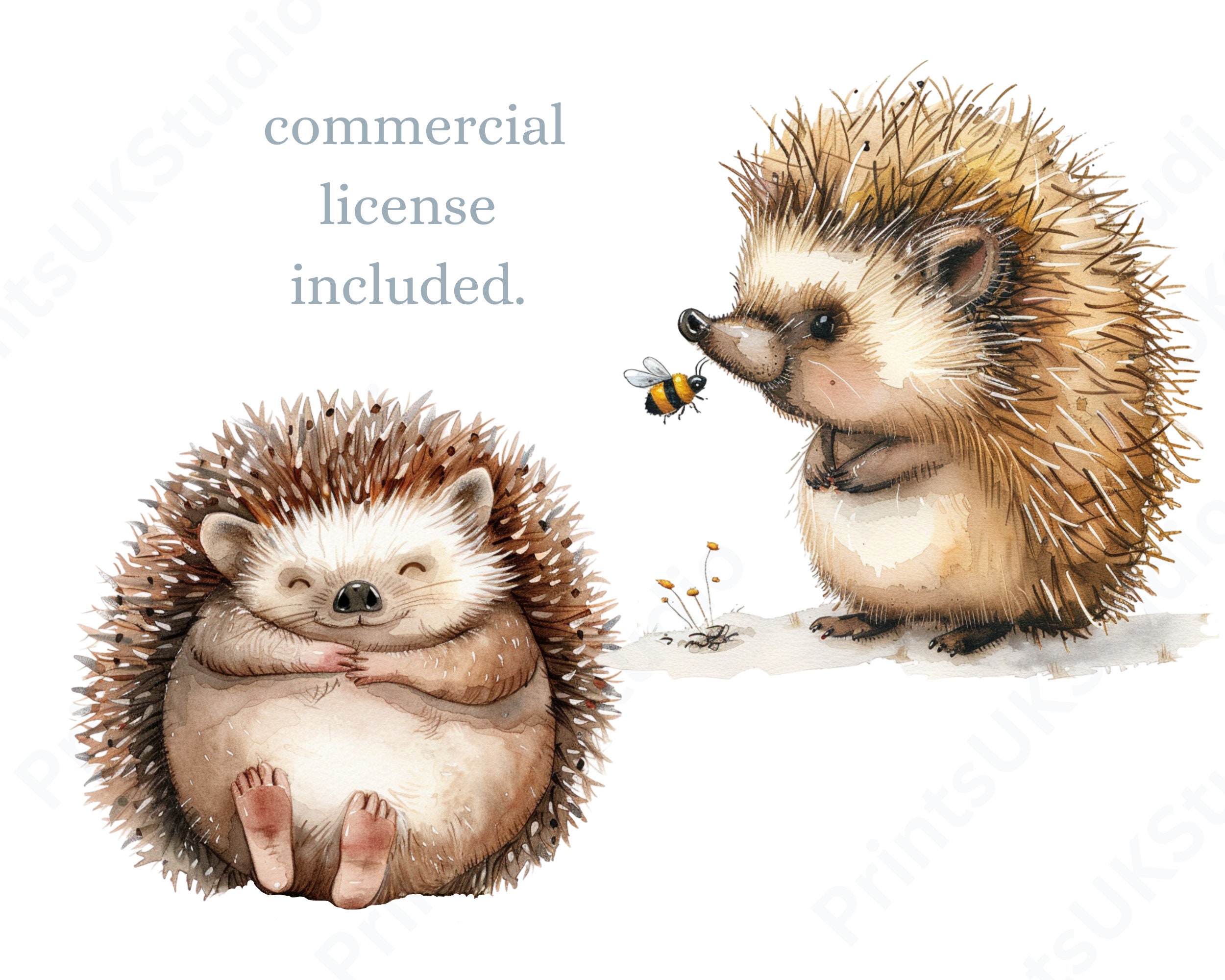 Hedgehog Clipart, 12 Watercolour Hedgehog Clipart Images, Woodland ...