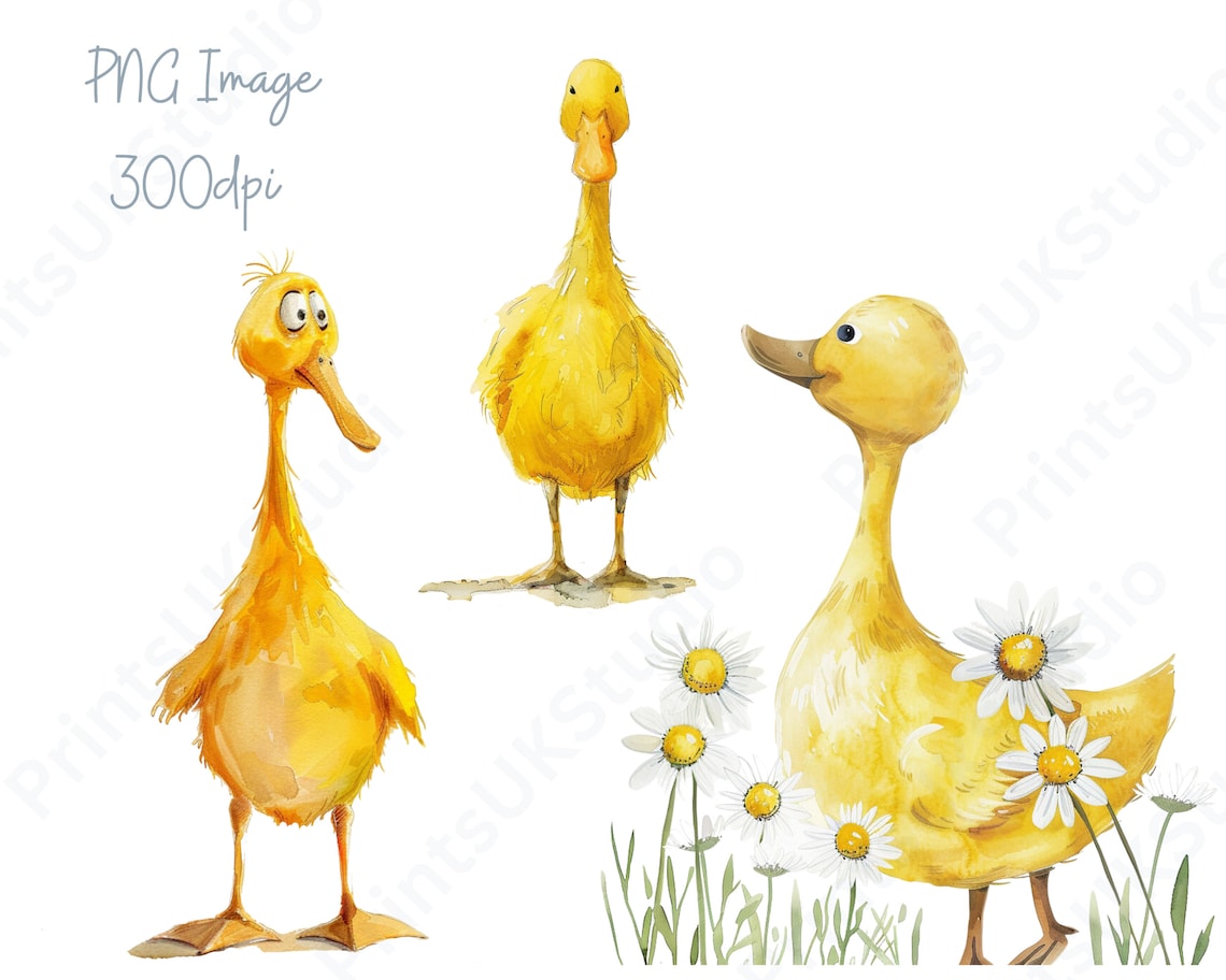 Quirky Ducks Clipart, 12 PNG Watercolour Images of Whimsical Yellow Ducks, Funny Animal Graphics ...