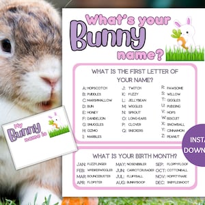 Bunny Name Game Printable, What's Your Bunny Name Game, Name Generator ...