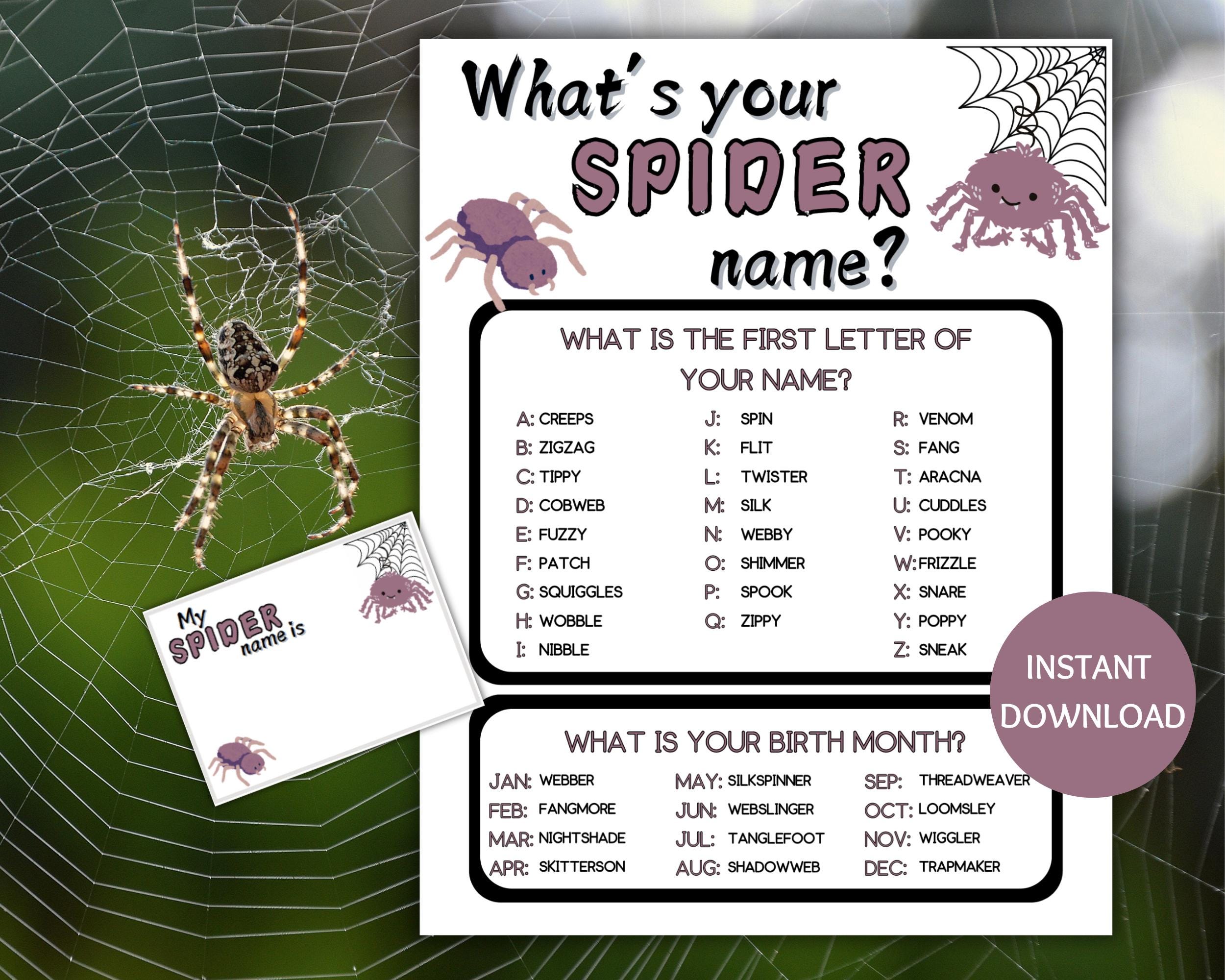 Spider Name Game Printable, What's Your Spider Name Game, Name ...
