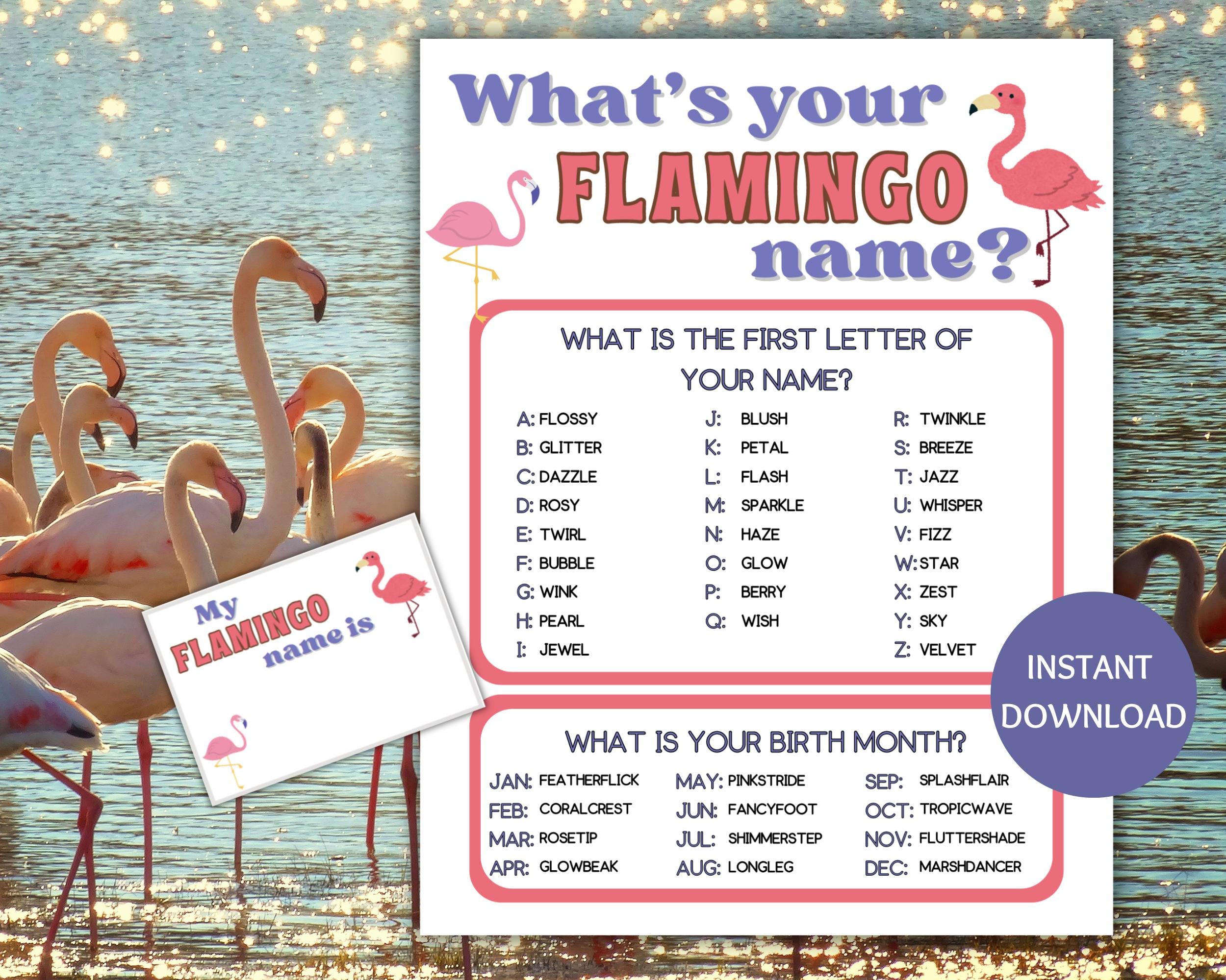 Flamingo Name Game Printable, What's Your Flamingo Name Game, Name ...