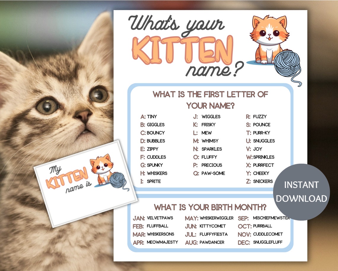 Kitten Name Game Printable, What's Your Kitten Name Game, Name ...
