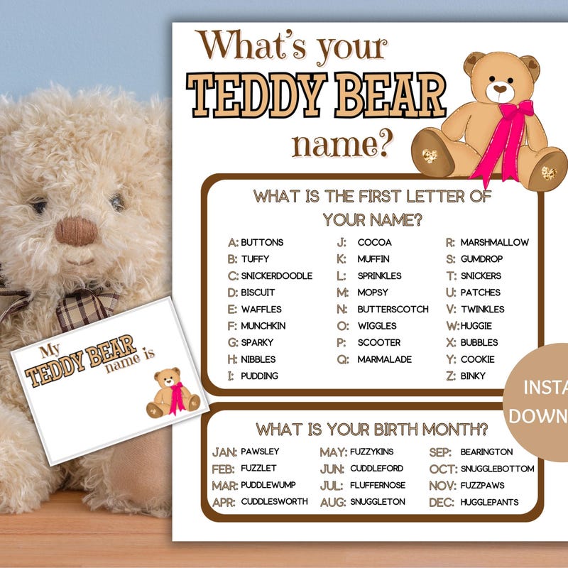 Pink Party Hats Teddy - Etsy