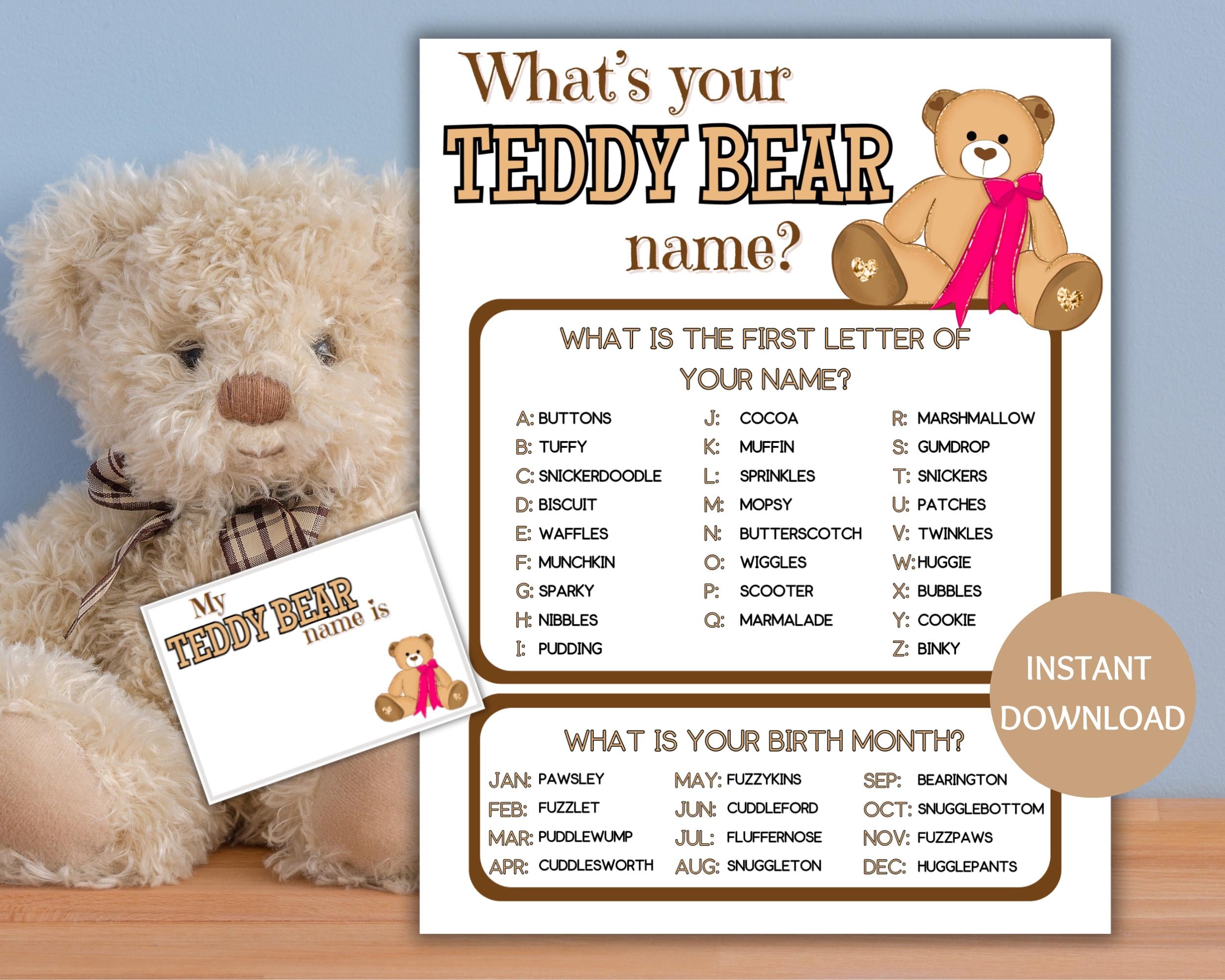 Teddy Bear Name Game Printable, What's Your Teddy Bear Name Game, Name ...