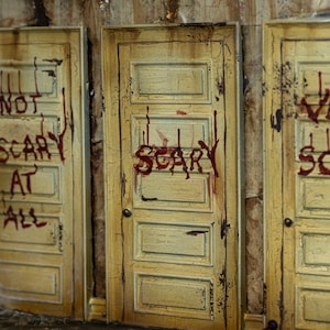 Framed Realistic three Scary Doors Stephen Kings IT Door Diorama ...