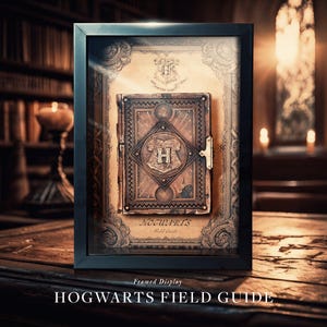 Hogwarts Field Guide Display - Etsy