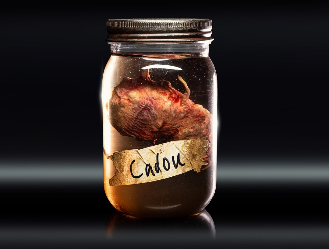 RESIDENT EVIL 8: VILLAGE Cadou Replica - Etsy UK