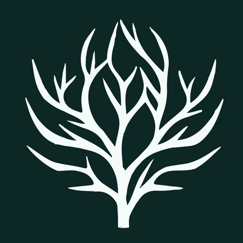 Aqualith - Etsy
