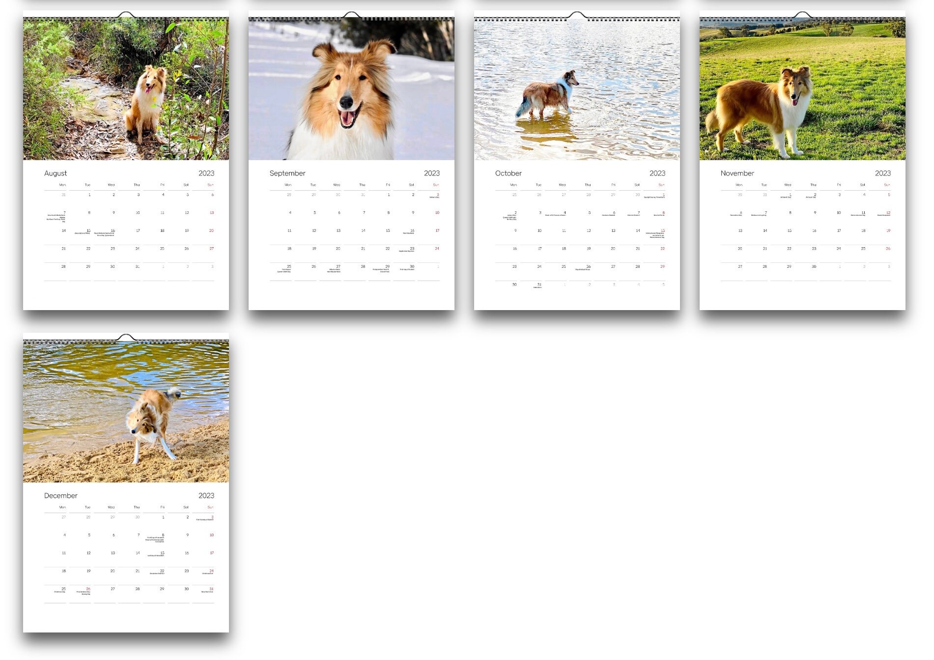 2023 Calendar | Cute Dog Calendar 2023l Lessie Dog L Wall Calendar 2023 ...