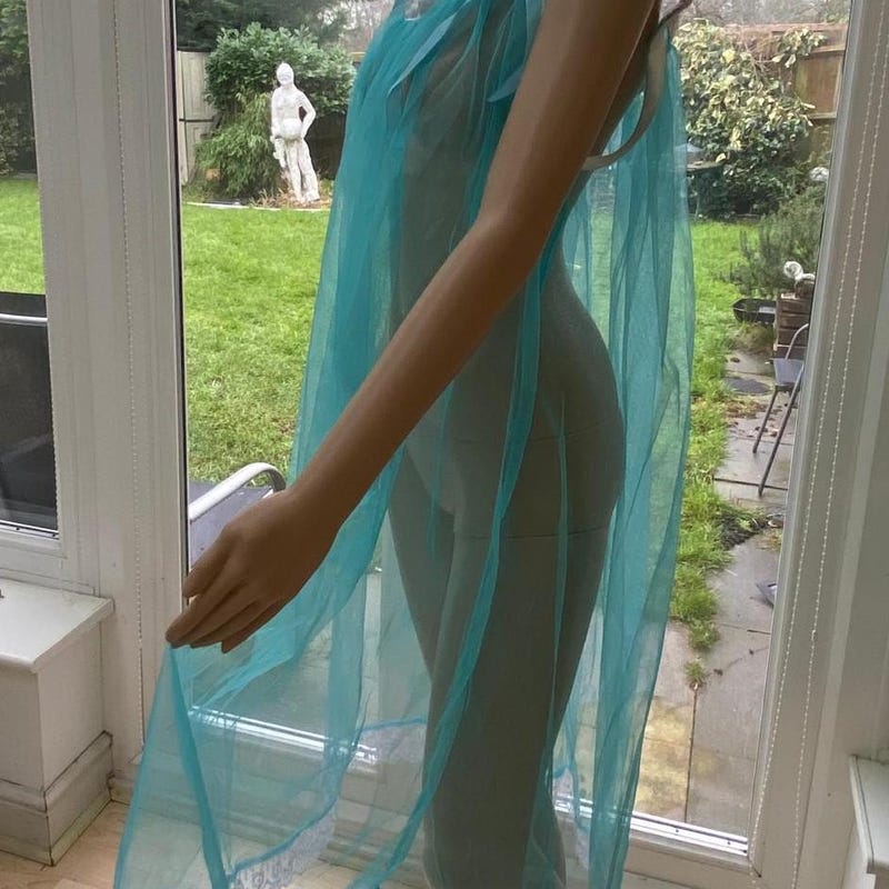 Mature See. Through - Etsy