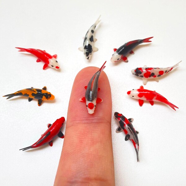 Miniature Koi Fish - Etsy